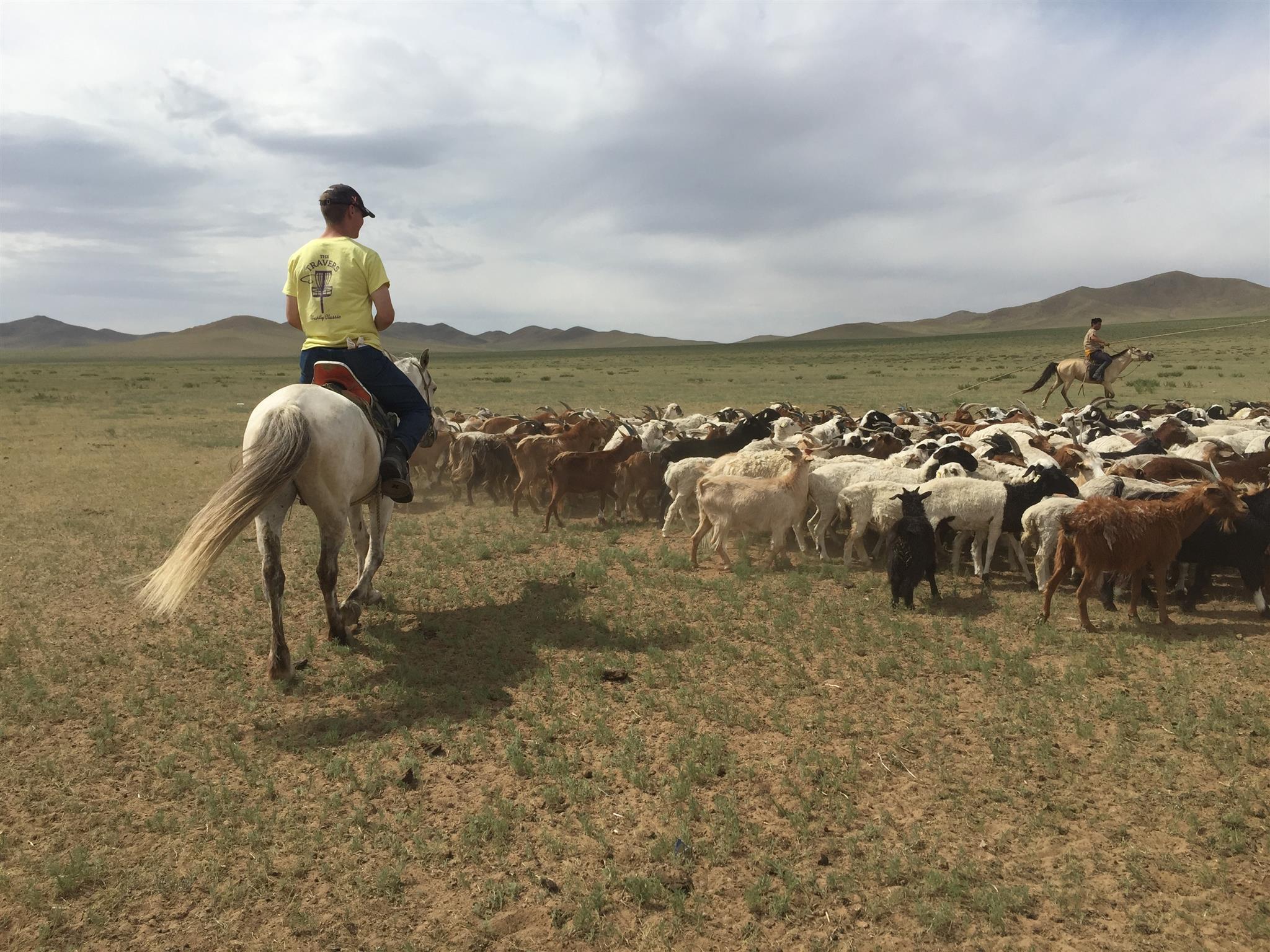 Live and Work with Nomads in Mongolia | Projects Abroad